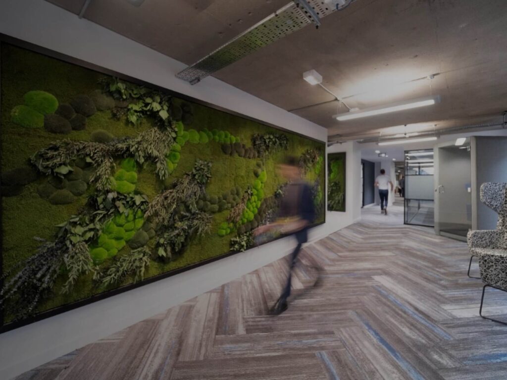 Supersonic Playground Case Study - Rap Interiors