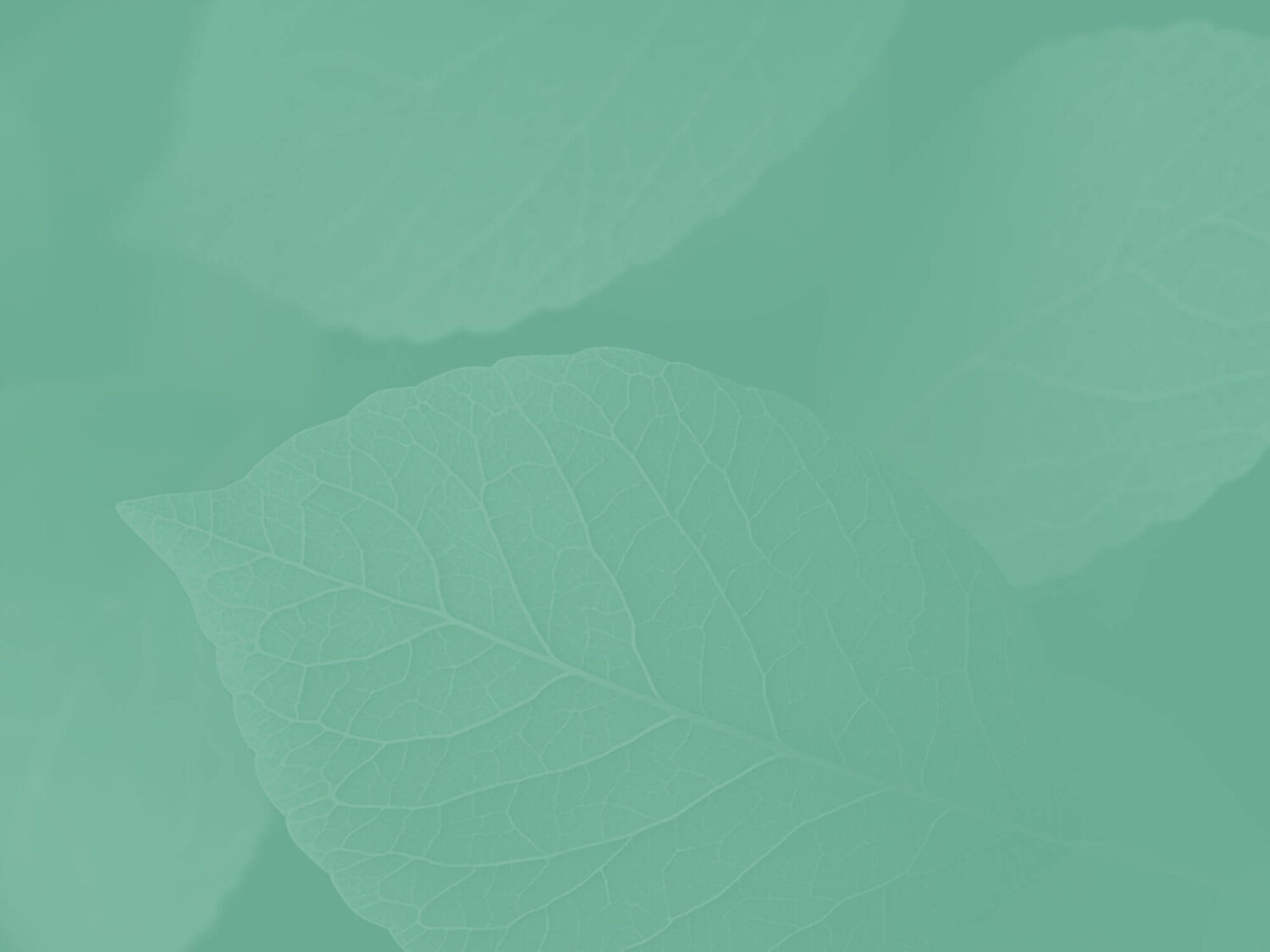 Supersonic Playground Case Study - Walter Geering