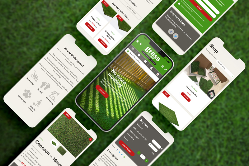 Supersonic Playground Case Study - Grass Next Day