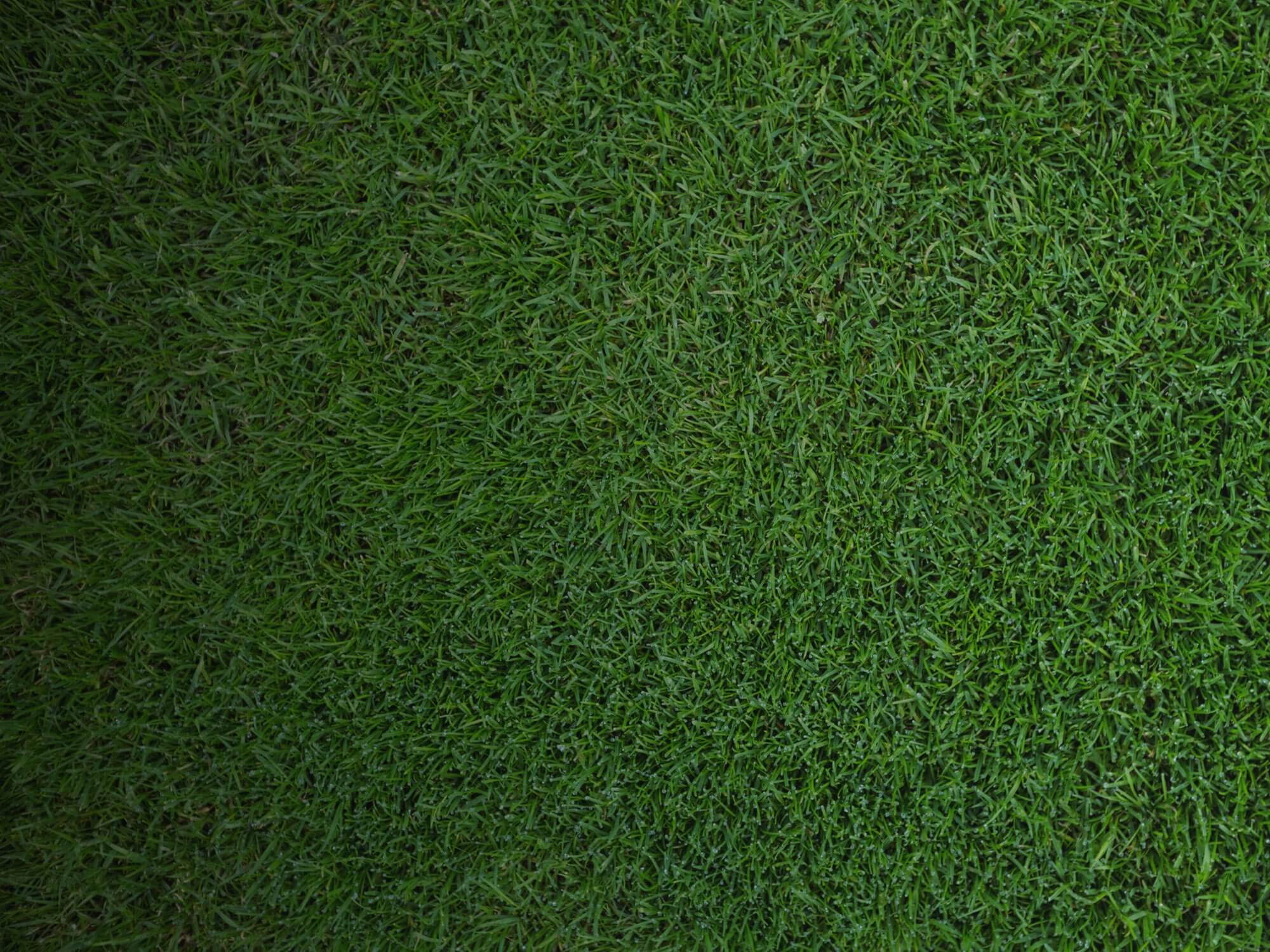 Supersonic Playground Case Study - Grass Next Day