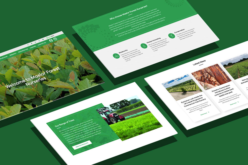 Supersonic Playground Case Study - Maelor Forest Nurseries