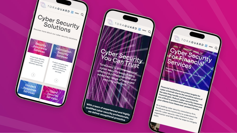 Supersonic Playground Case Study - ToraGuard