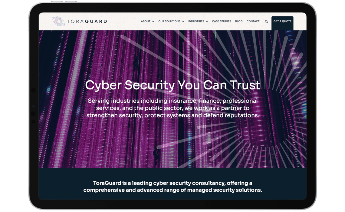 Supersonic Playground Case Study - ToraGuard